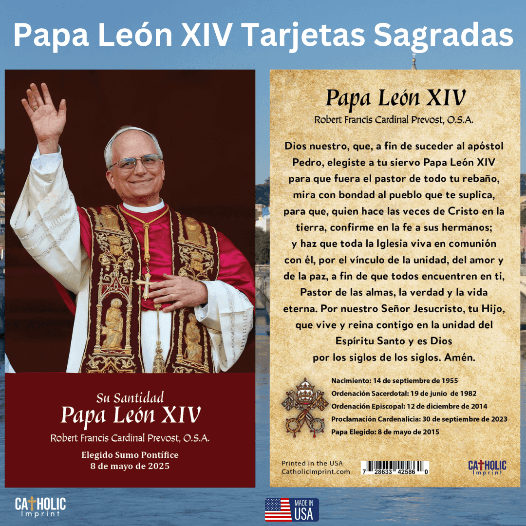 Pope Leo XIV Outdoor / Indoor Vinyl Banner for Churches and Schools – Catholic Imprint